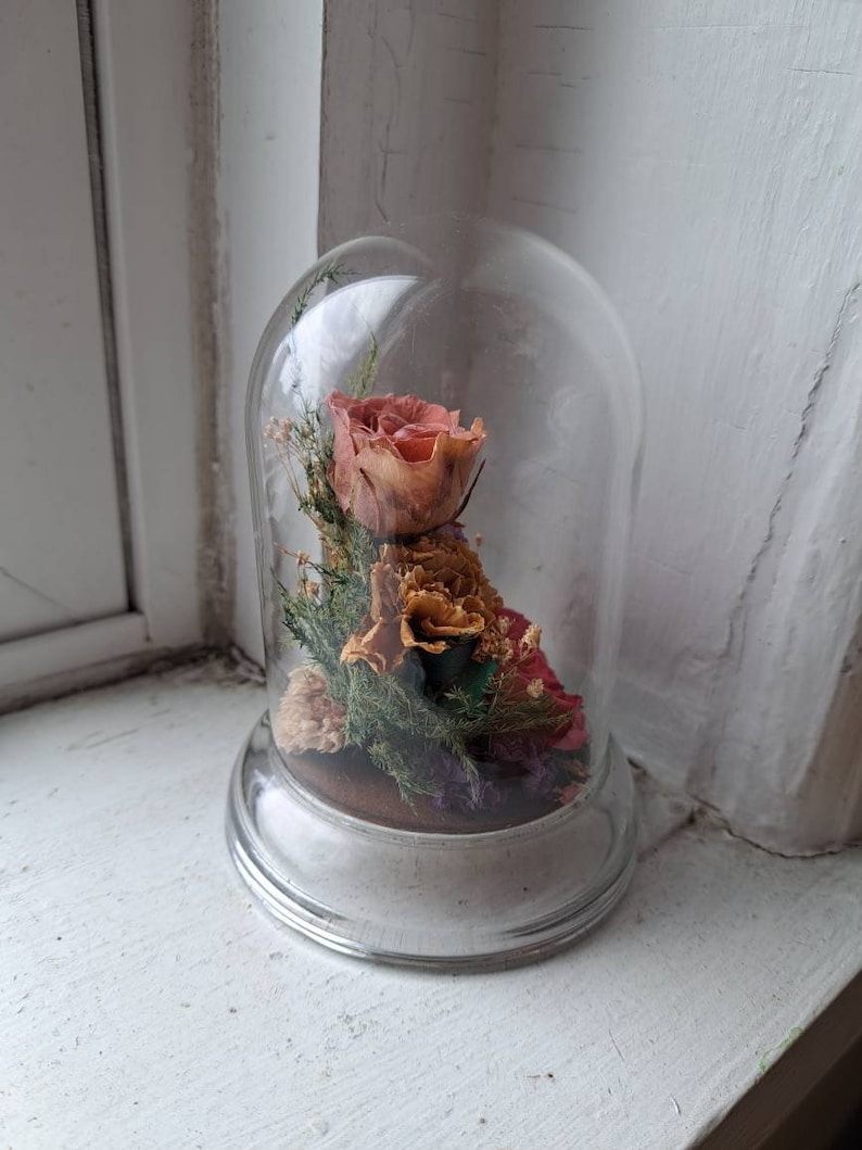80s/90s Natural Expressions Dried Roses Glass Terrarium Dome - Etsy