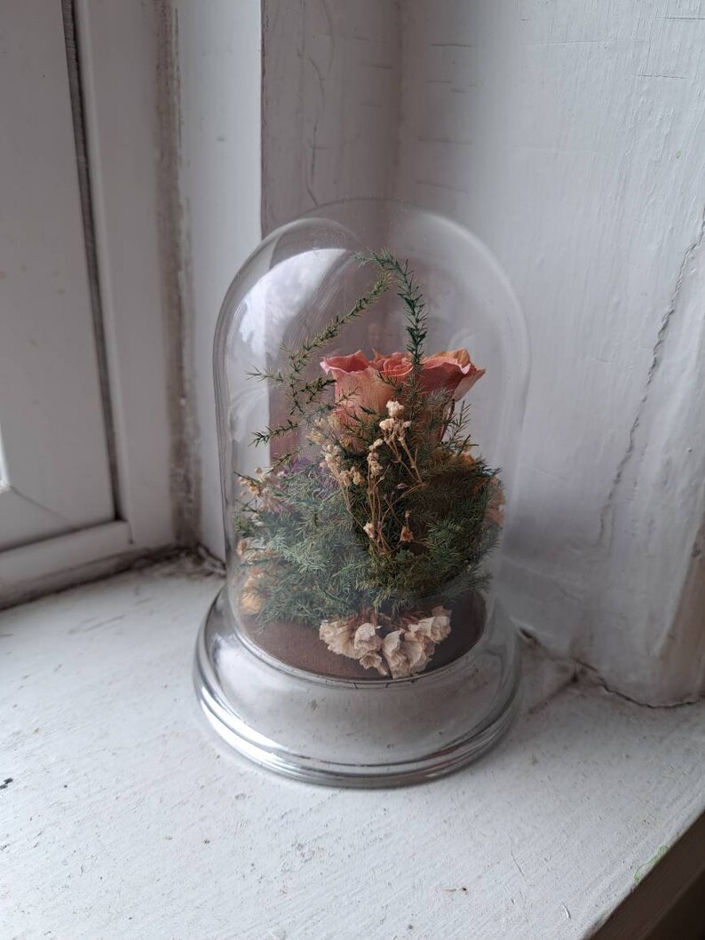 80s/90s Natural Expressions Dried Roses Glass Terrarium Dome - Etsy