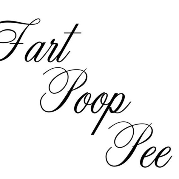 Poop Decal - Etsy