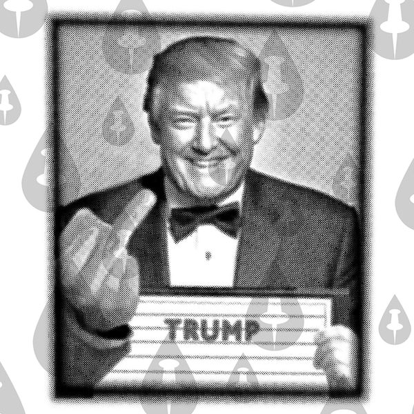Trump Flyer - Etsy