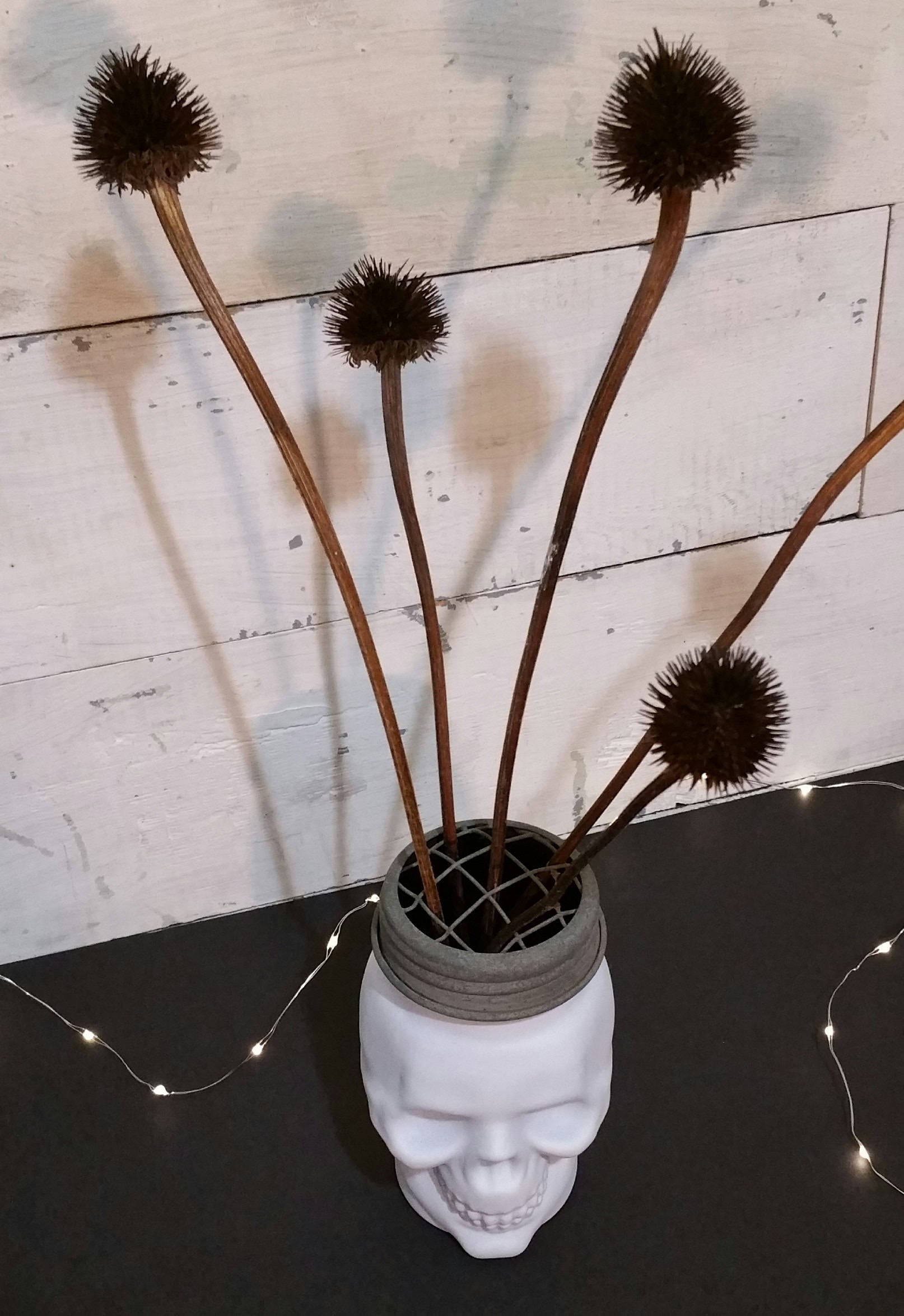 White Skull Vase Flower Floral Display Steampunk Gothic Glass Mason ...