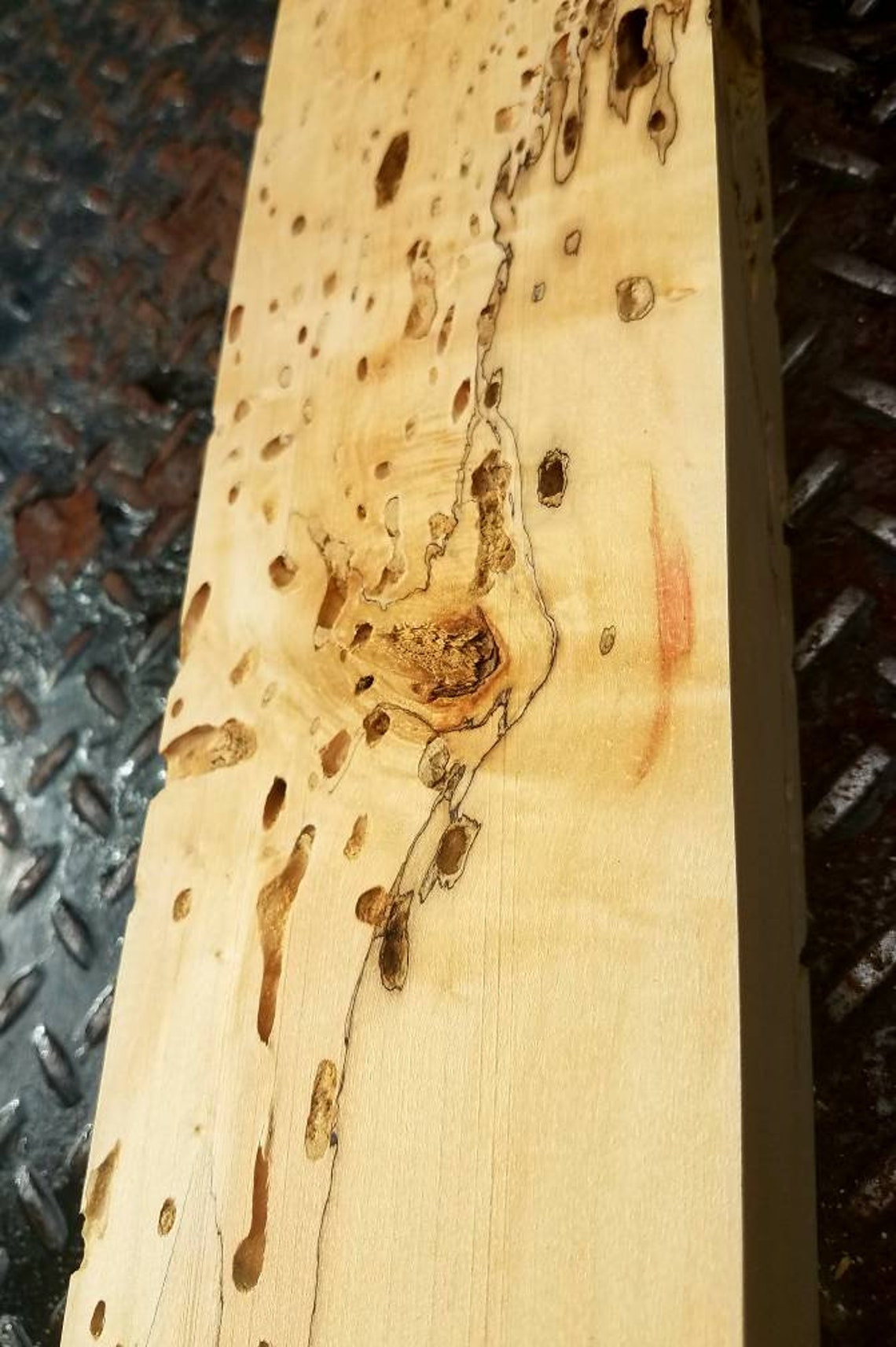 Boxelder Worm Insect Nest Tunneled Rustic Wood Board Lumber - Etsy