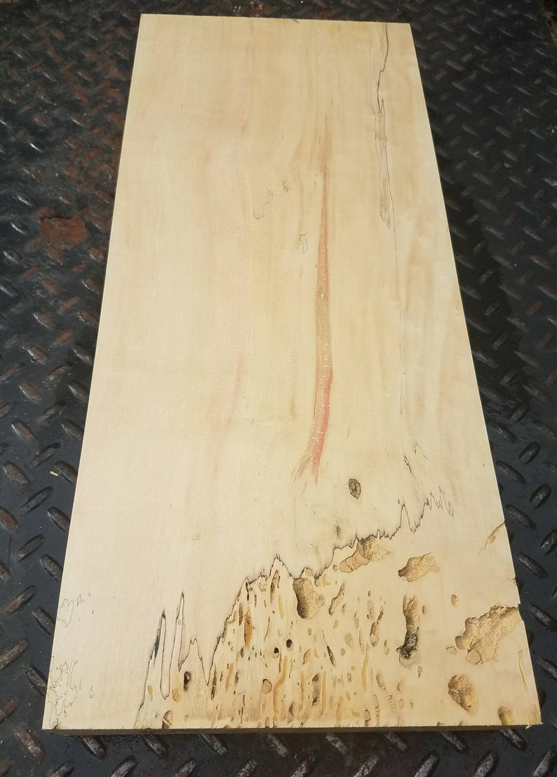 Boxelder Worm Insect Nest Tunneled Rustic Wood Board Lumber Shelf Blue ...
