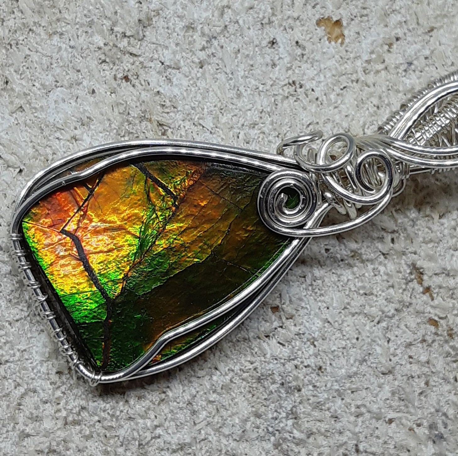 A Natural Free Form Ammolite From Alberta Canada/only Gem Stone From ...