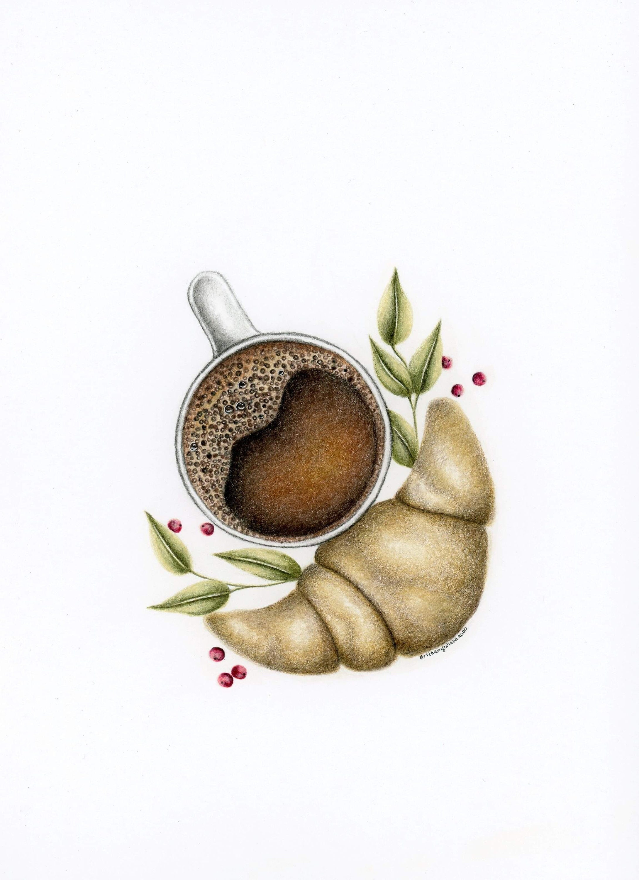 Coffee Plant Art Print Coffee Print Plant Print Coffee Art - Etsy