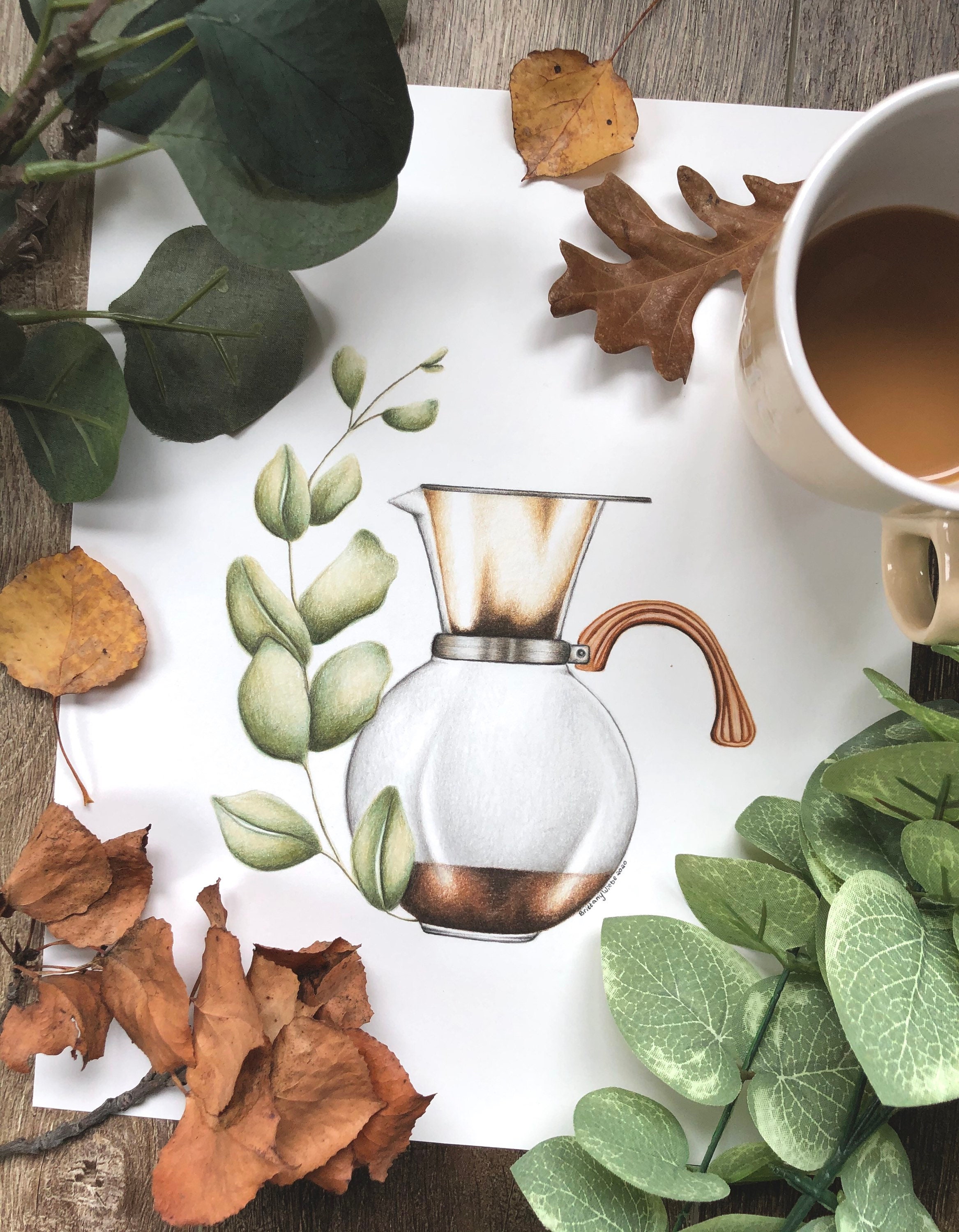 Coffee Art, Coffee Art Print, Plant Art Print, Plant Art, Coffee Plant ...