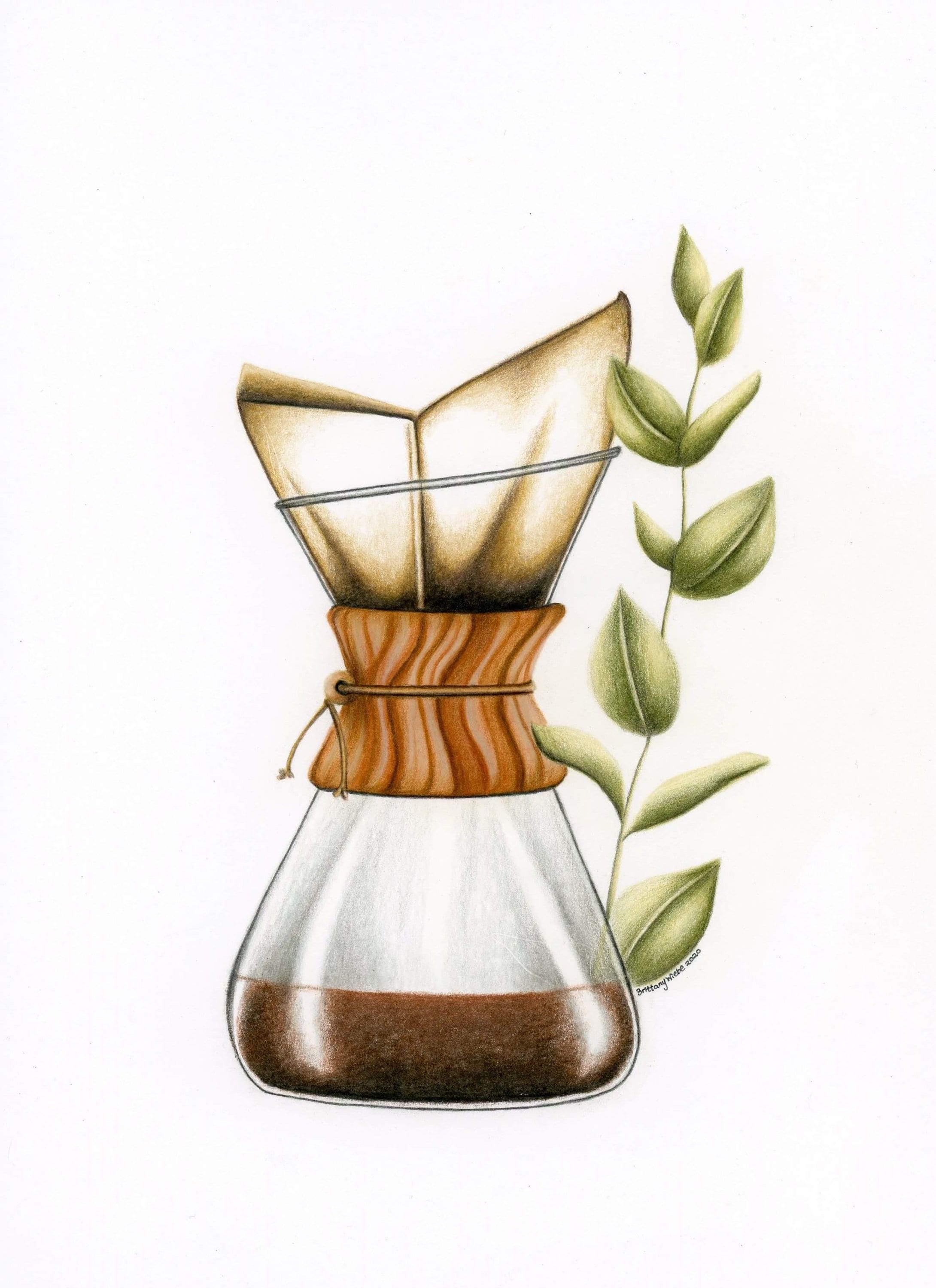 Coffee Art Print Coffee Plant Art Print Coffee Art Coffee - Etsy Canada