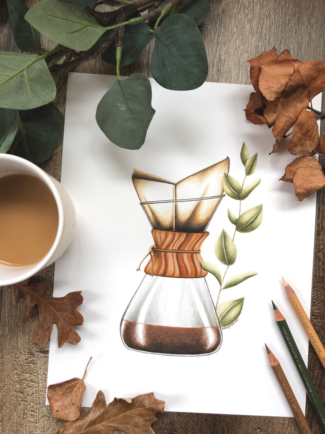 Coffee Art Print Coffee Plant Art Print Coffee Art Coffee | Etsy