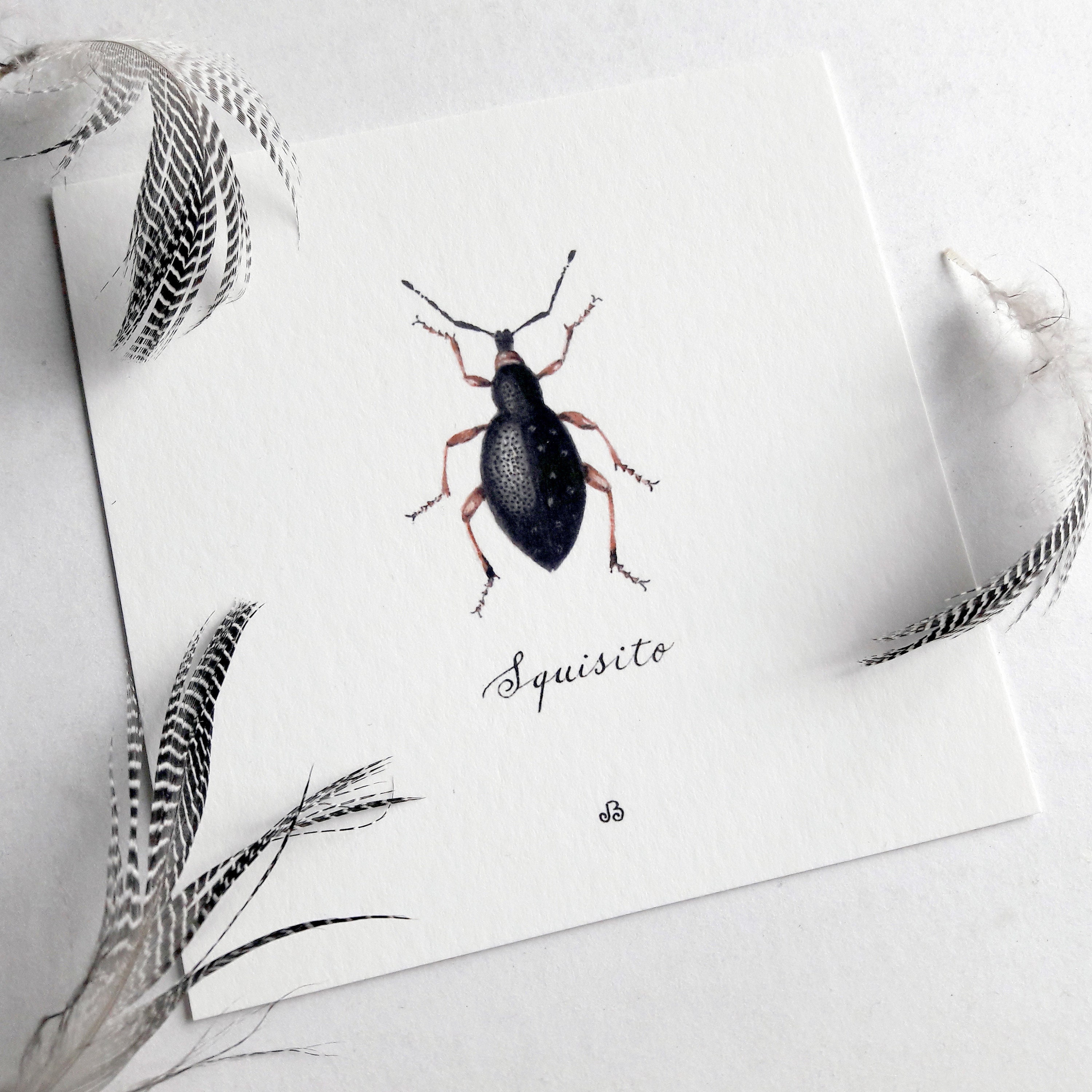 Beetle Print, Tiny Beetle, Black Beetle, Watercolor Painting, Giclée ...