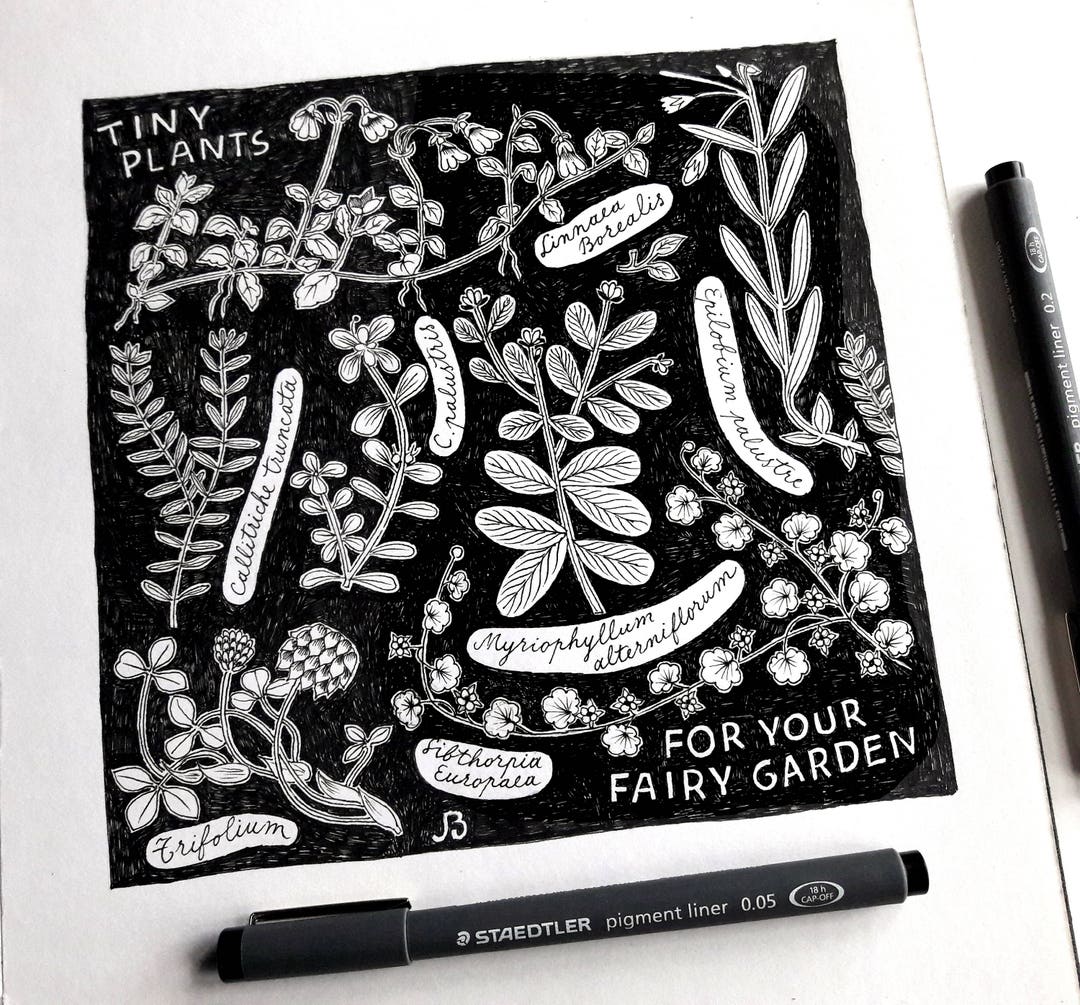 Hand Drawn Plants, Hand Drawn Flowers, Botanical, Plant Illustration ...