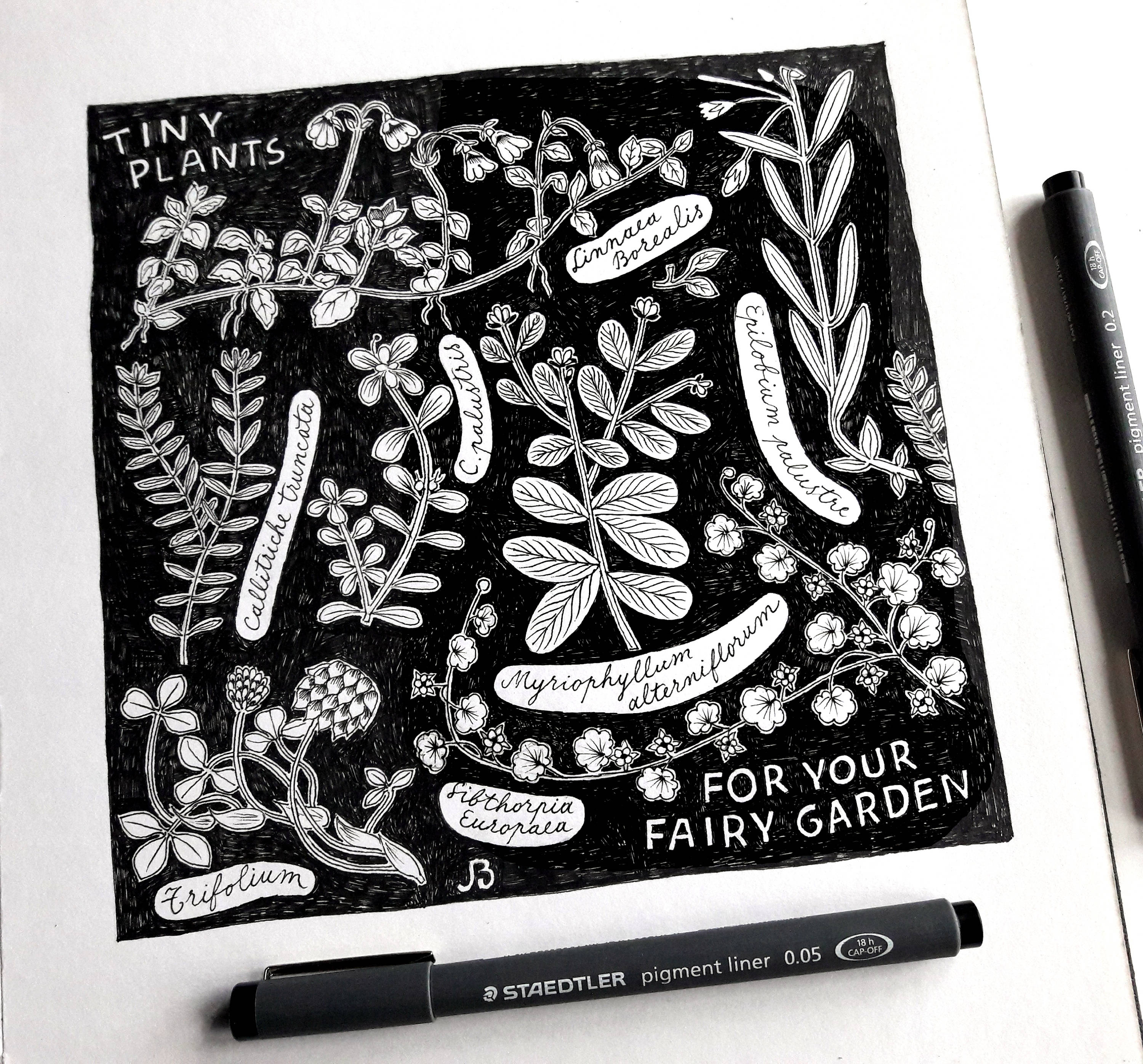 Hand Drawn Plants, Hand Drawn Flowers, Botanical, Plant Illustration ...
