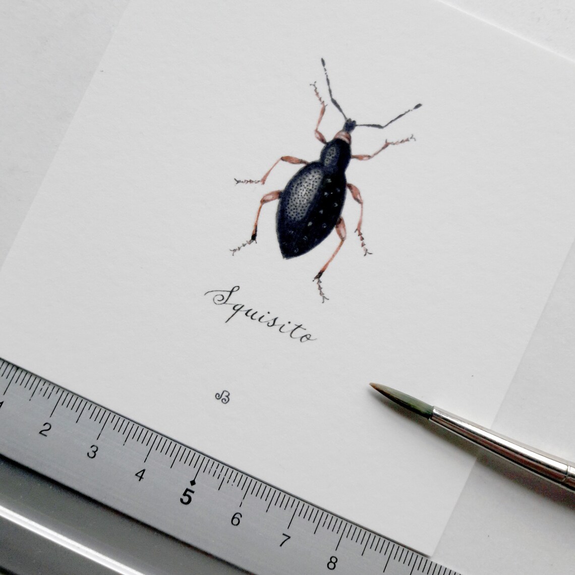 Beetle Print, Tiny Beetle, Black Beetle, Watercolor Painting, Giclée ...