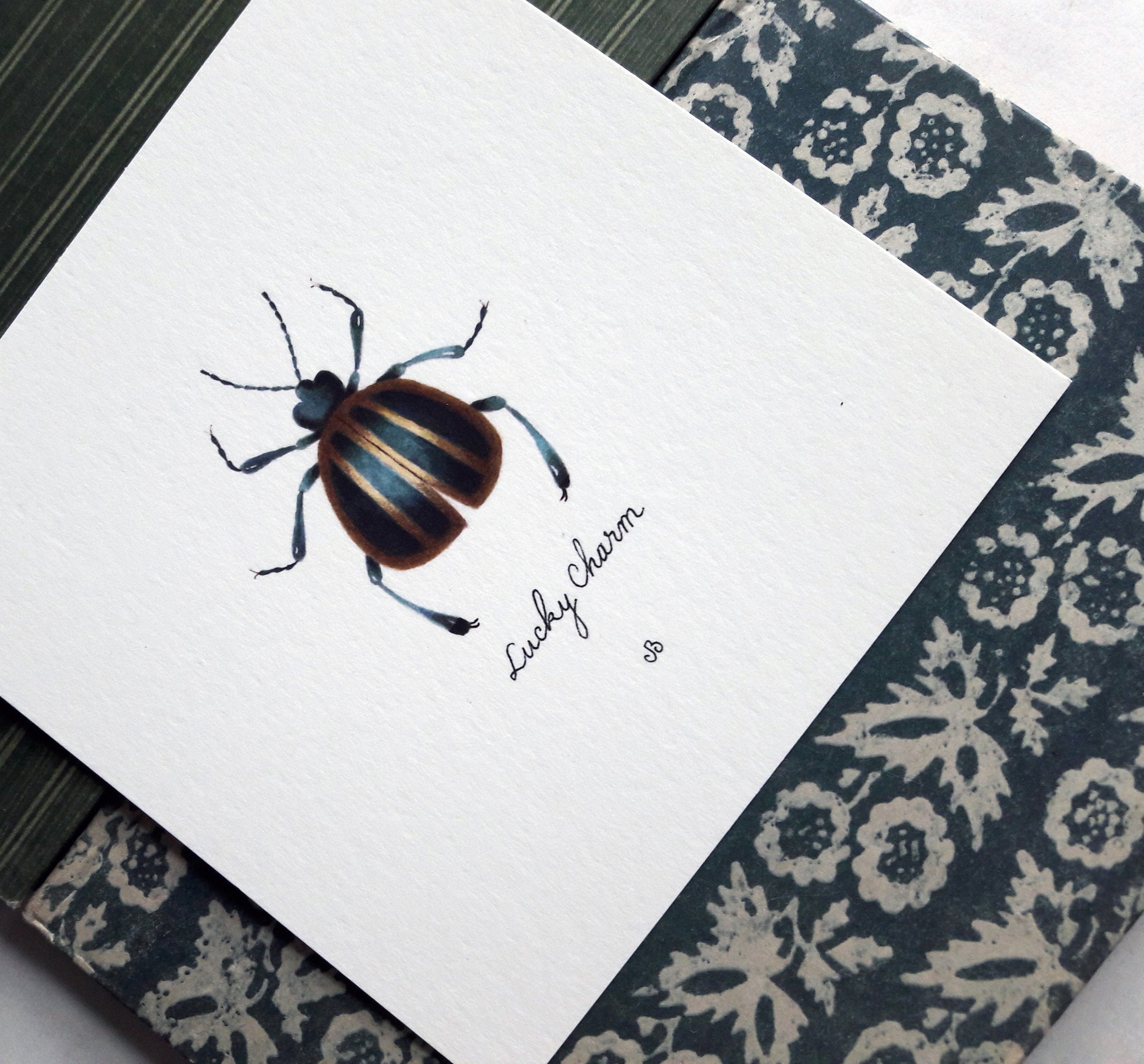 Beetle Print, Painted Beetle, Striped Beetle, Calligraphy, Joke Boudens ...