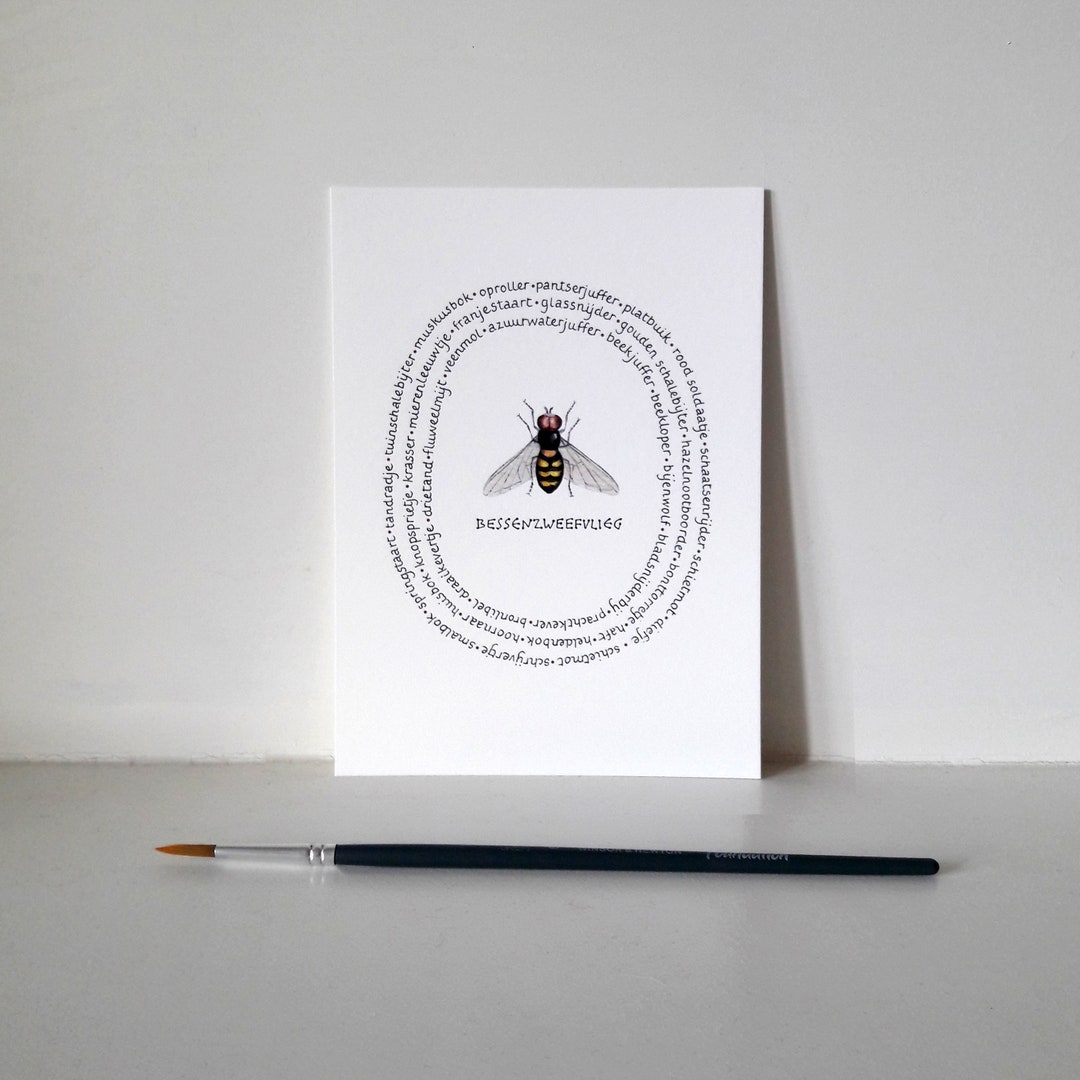 Insect Print,painted Insect,zweefvlieg,calligraphy,hoverfly,watercolor ...