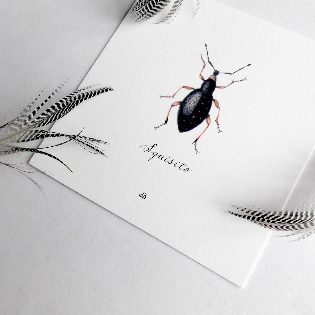 Beetle Print, Tiny Beetle, Black Beetle, Watercolor Painting, Giclée ...