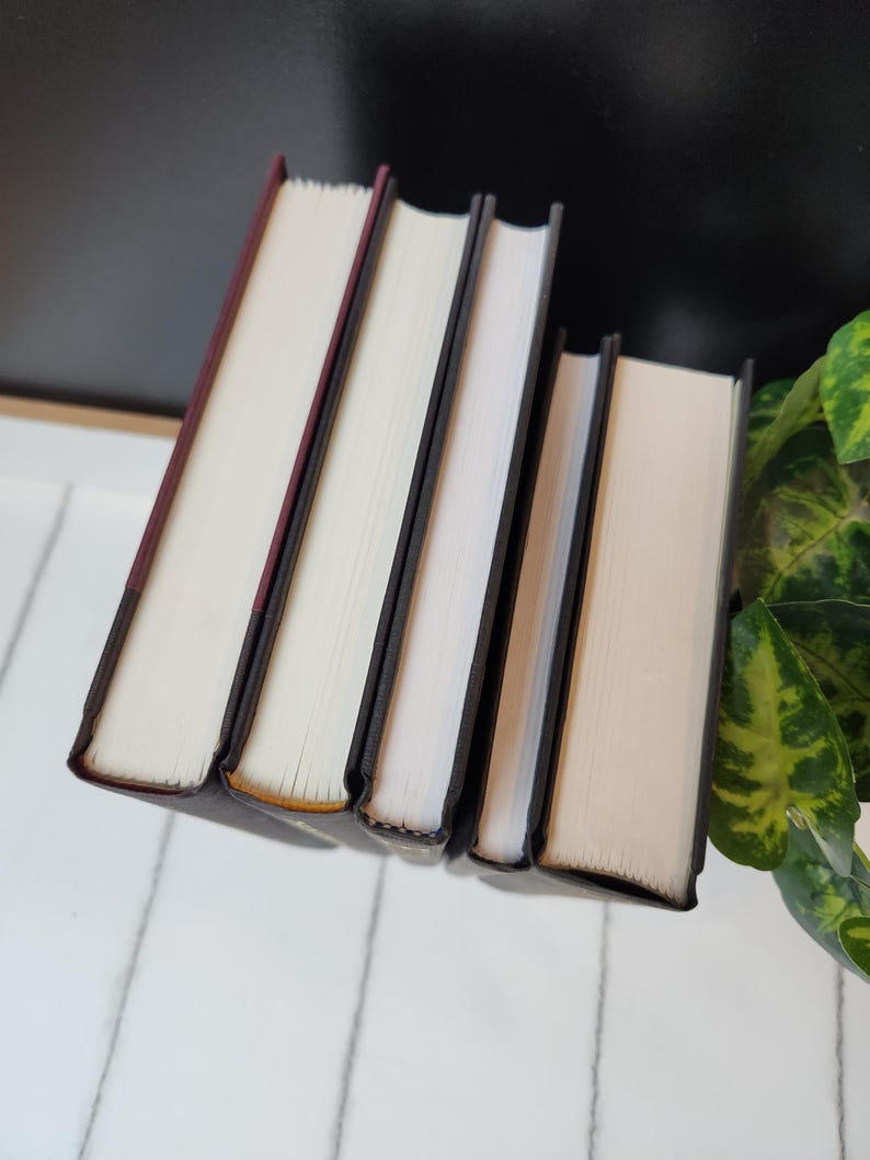 5 Black Books Gold Lettering Bookshelf Bundle | Instant Library House ...