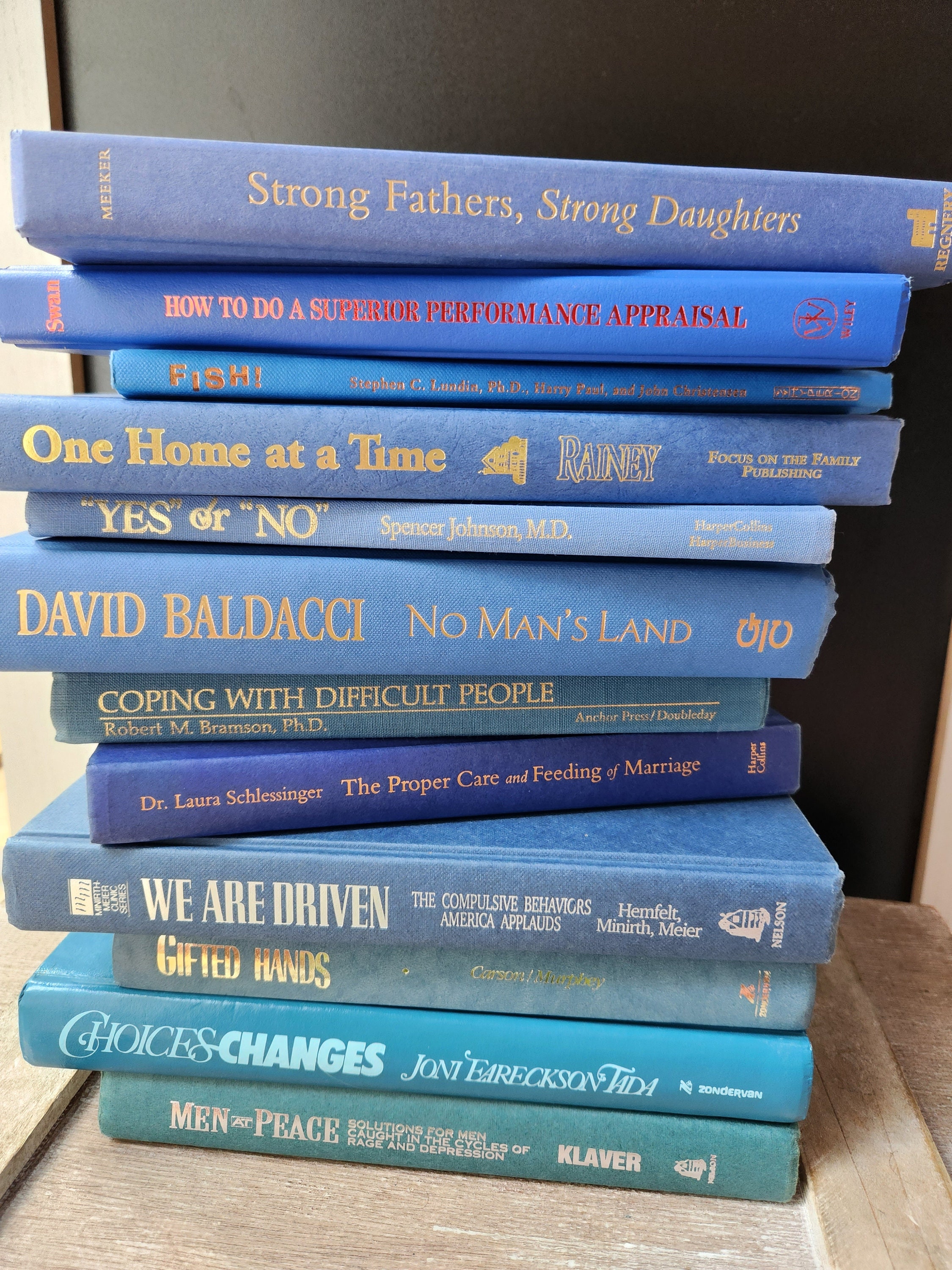 Blue Staging Book Stack Bookshelf Decor Objects Ideas Real Used ...