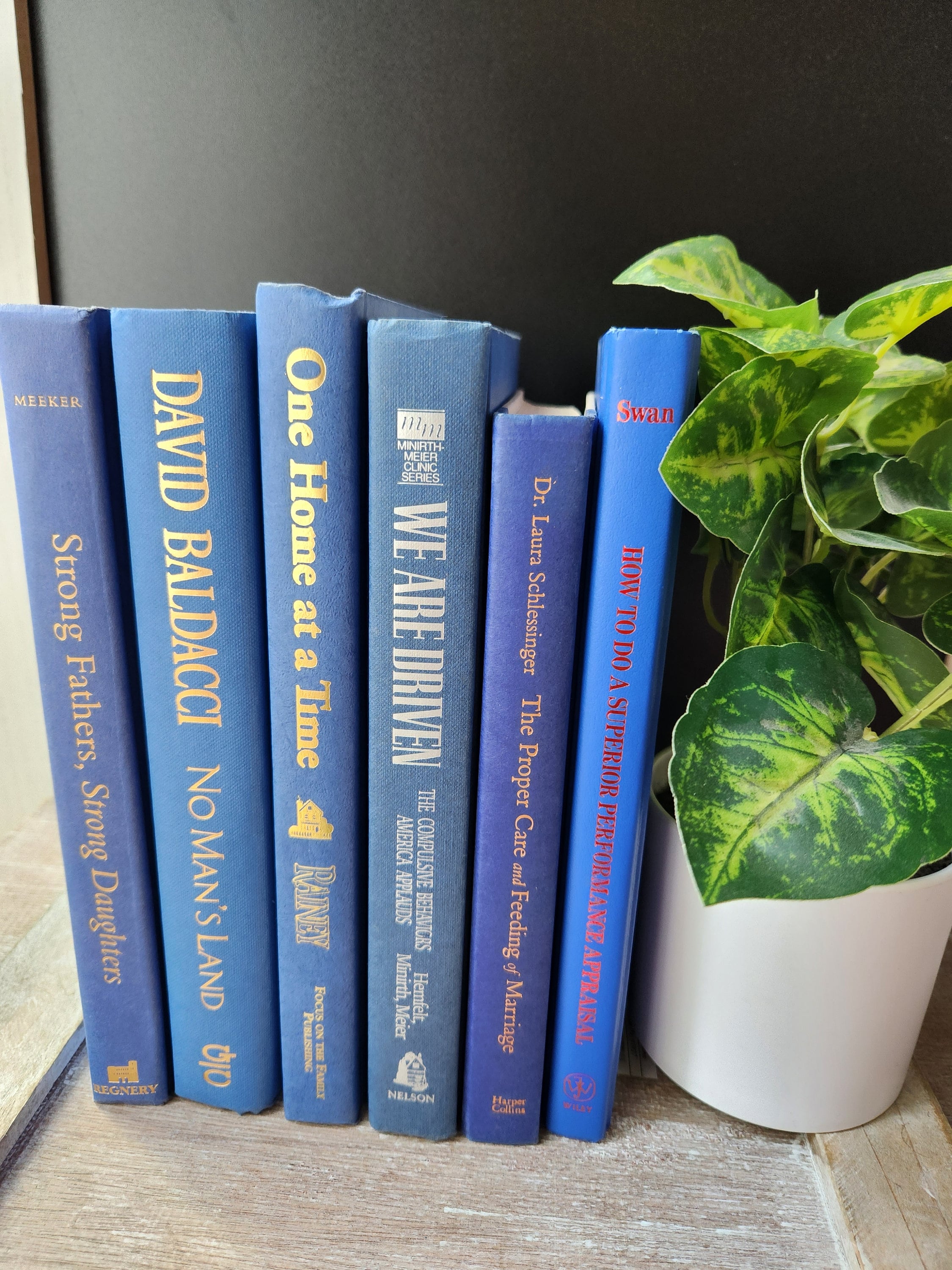 Blue Staging Book Stack Bookshelf Decor Objects Ideas Real Used ...