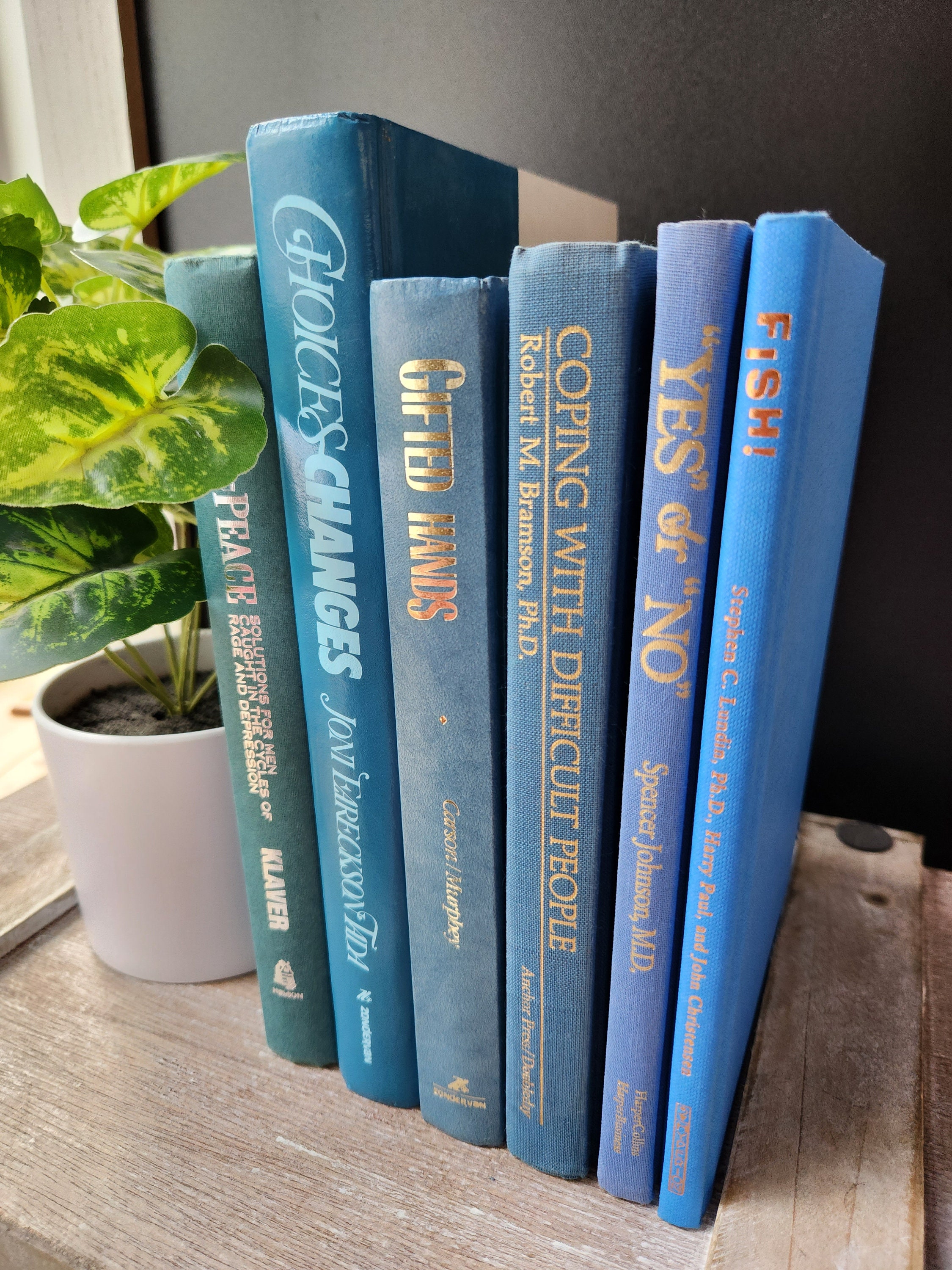 Blue Staging Book Stack Bookshelf Decor Objects Ideas Real Used ...