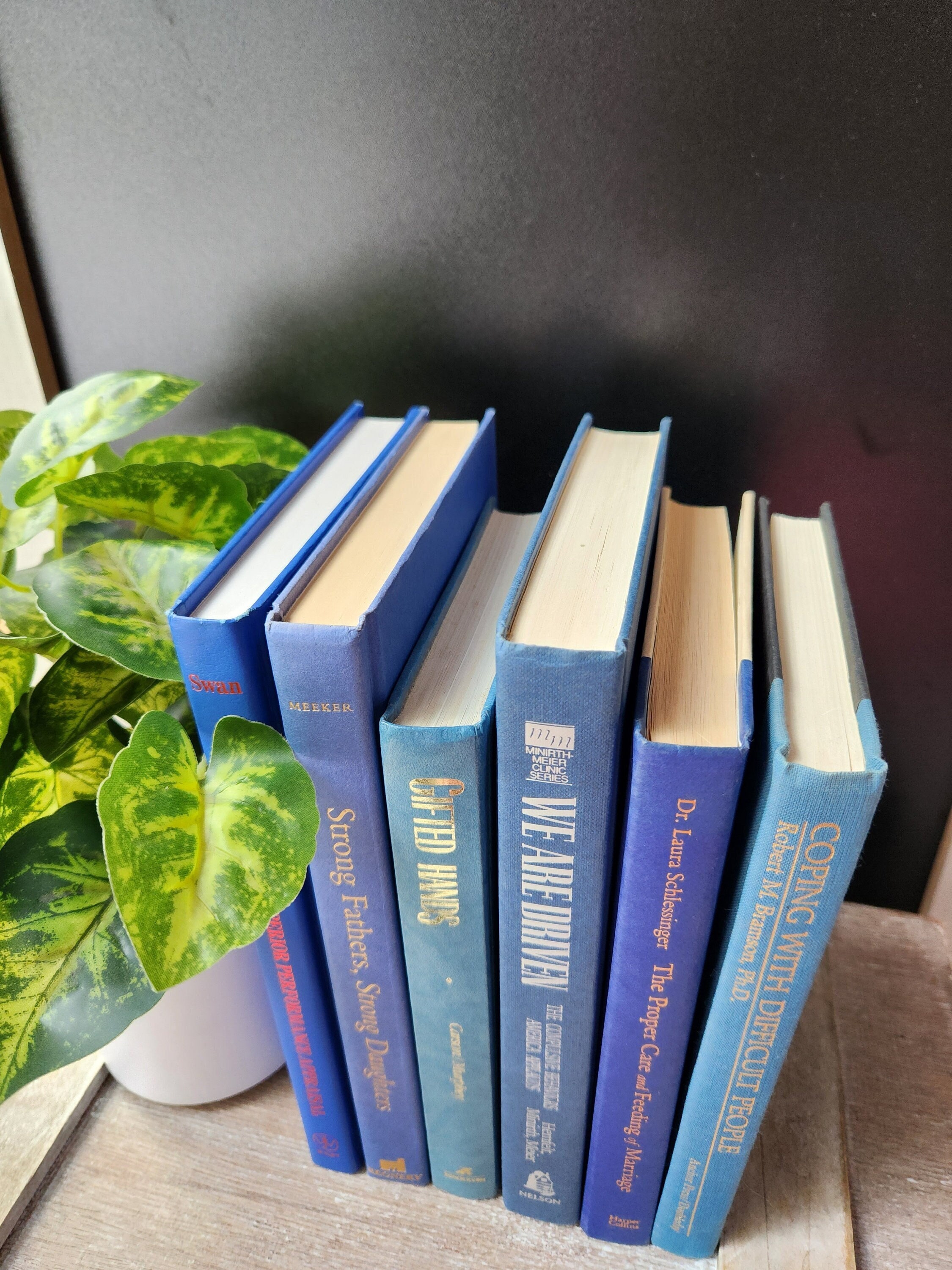 Blue Staging Book Stack Bookshelf Decor Objects Ideas Real Used ...