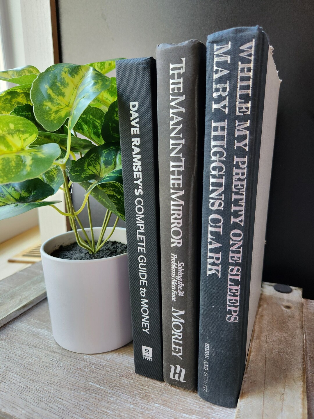 Black Books Silver Lettering Decorative Bundle Instant Library ...