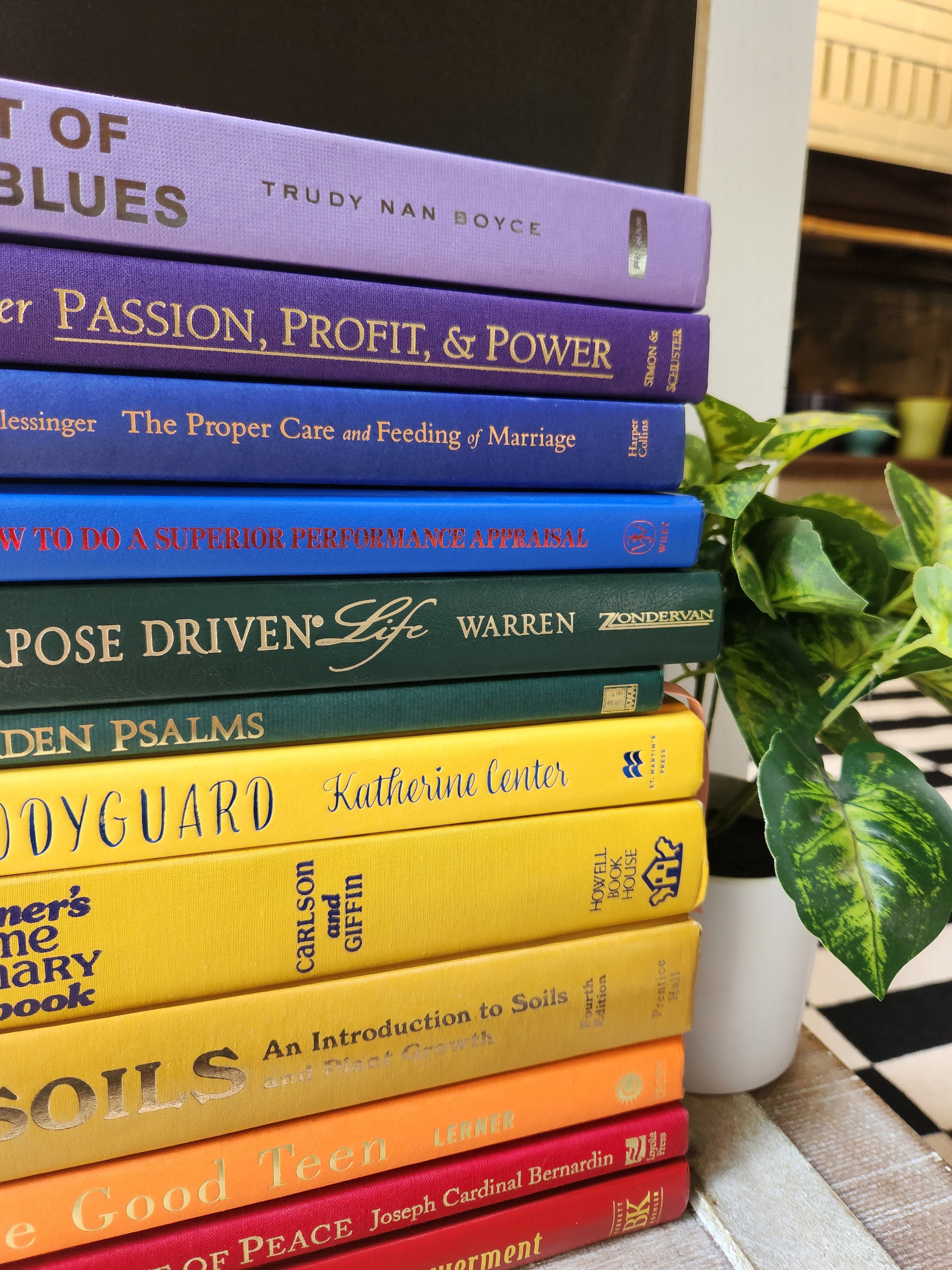 Rainbow Colorful Hardback Book Decor Variety Colors Books Decorative ...