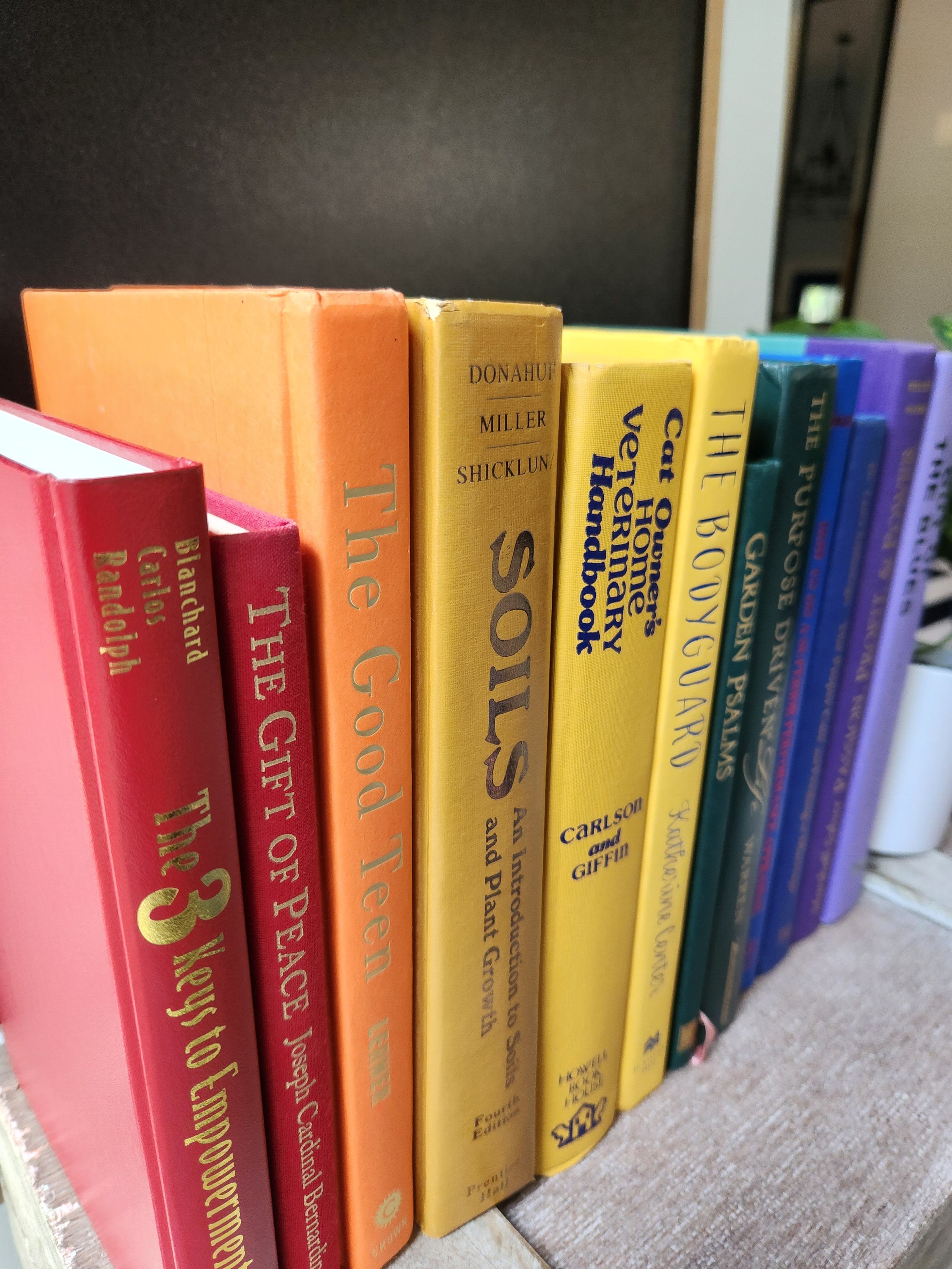 Rainbow Colorful Hardback Book Decor Variety Colors Books - Etsy