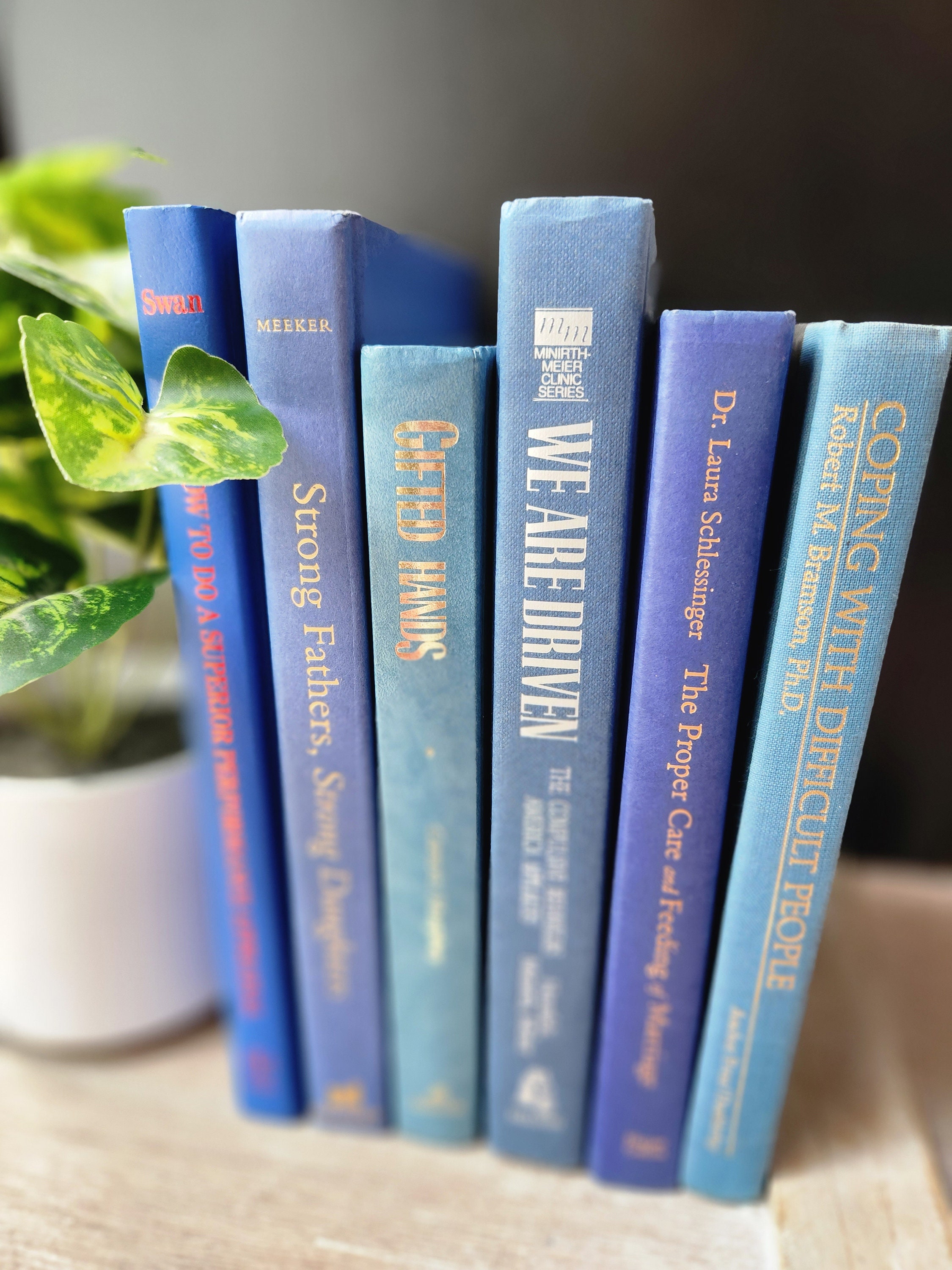 Blue Staging Book Stack Bookshelf Decor Objects Ideas Real Used ...
