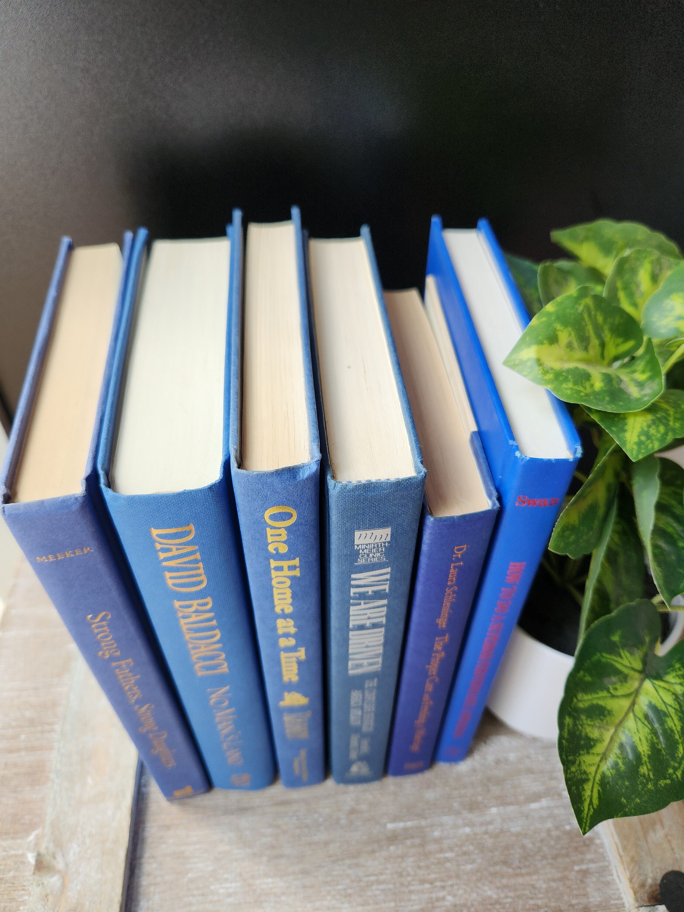 Blue Staging Book Stack Bookshelf Decor Objects Ideas Real Used ...