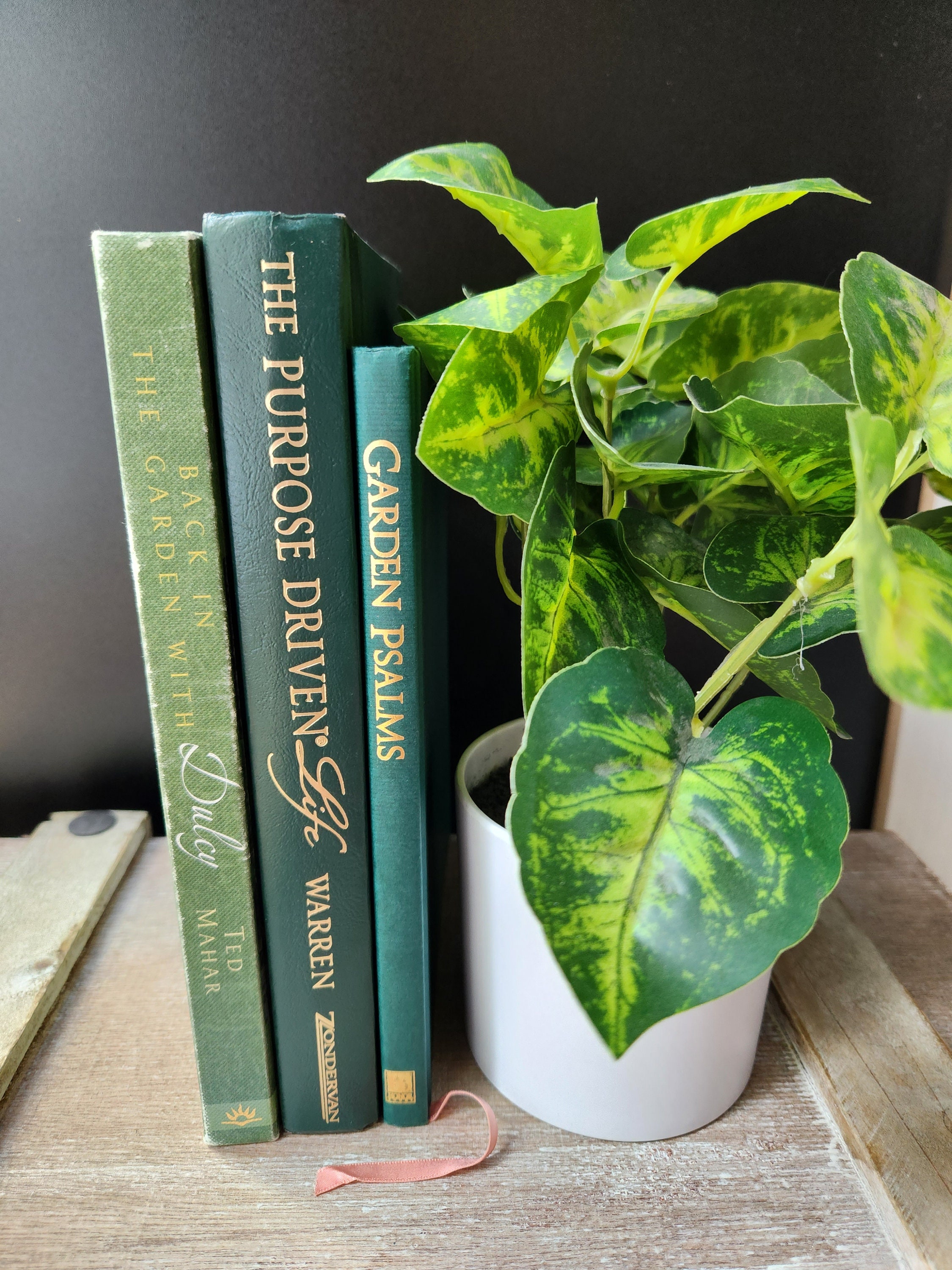 Green Mantle Book Decor Ideas Bookshelf Decorative Objects - Etsy