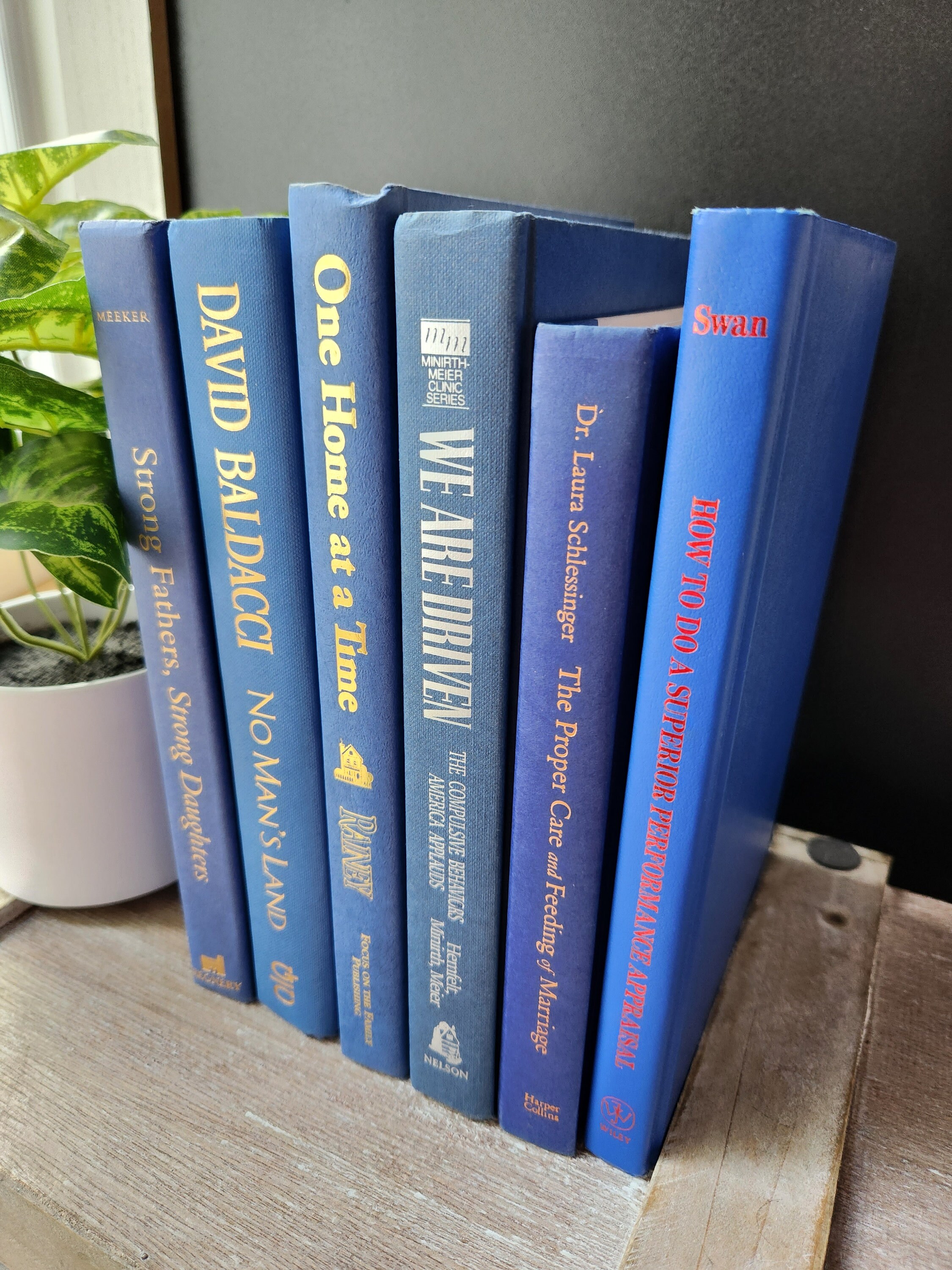 Blue Staging Book Stack Bookshelf Decor Objects Ideas Real Used ...