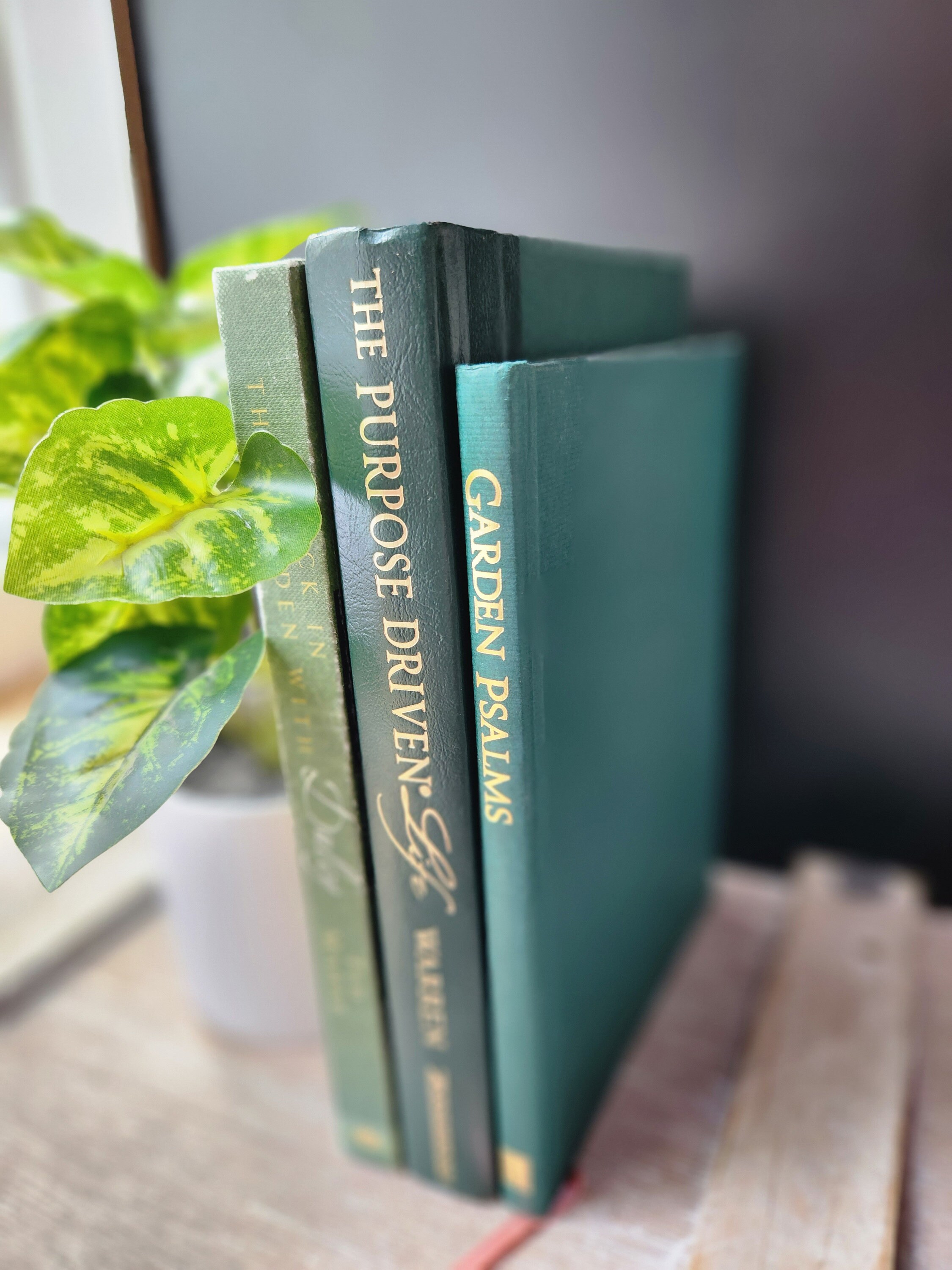 Green Mantle Book Decor Ideas Bookshelf Decorative Objects - Etsy