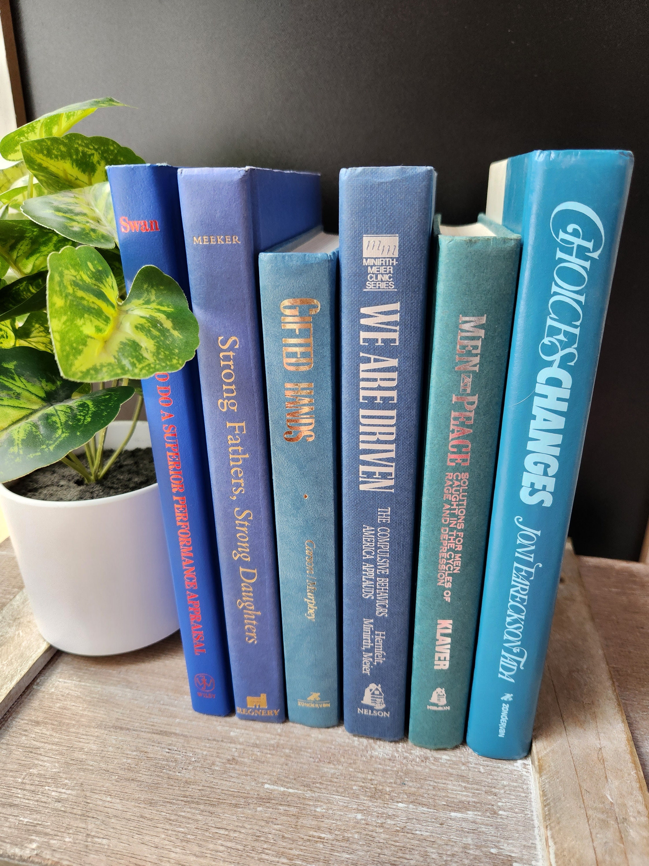 Blue Staging Book Stack Bookshelf Decor Objects Ideas Real Used ...