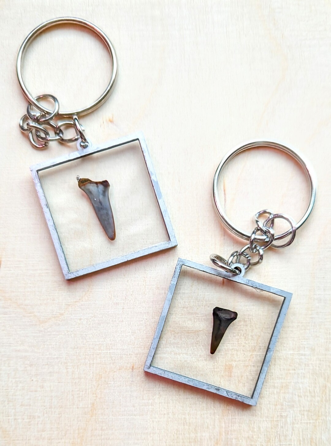 Shark Tooth Keychain - Etsy