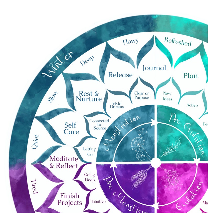 Cycle Chart/inner Seasons/cycle Phases - Etsy