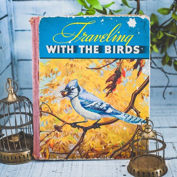 Antique Bird Book - Etsy