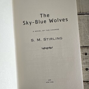 Light Blue and White Books for Home Decor Sky Blue Book Stack for ...