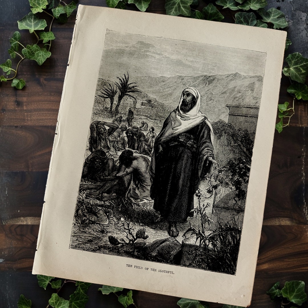 Antique 1877 Bible Engraving of the Field of the Slothful, Original Old ...