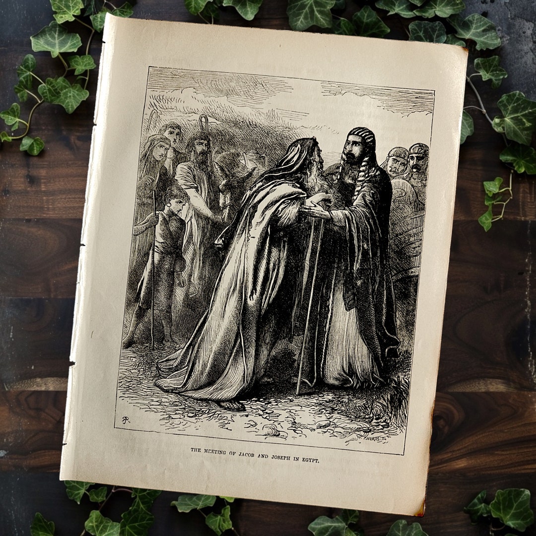 Antique 1877 Bible Engraving: Jacob and Joseph in Egypt - Etsy