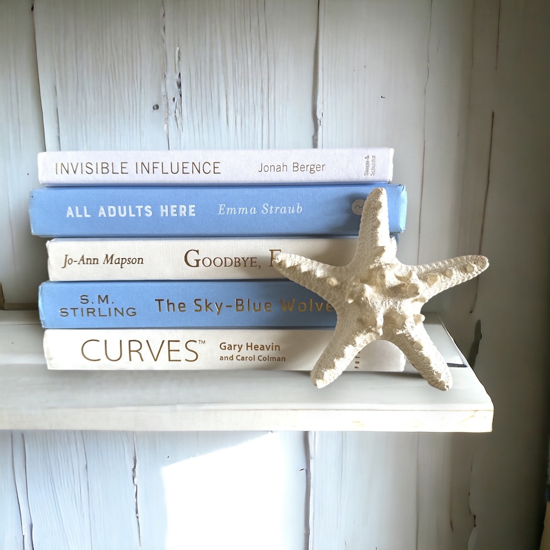 Light Blue and White Books for Home Decor Sky Blue Book Stack for ...