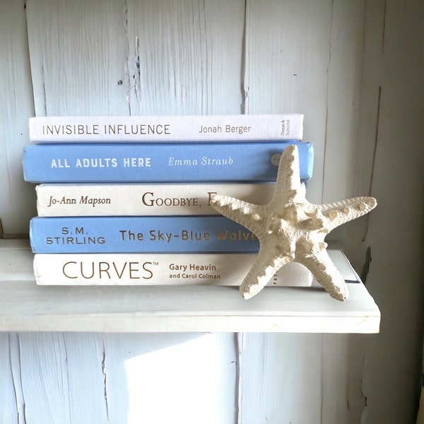 Blue Book Stack - Etsy