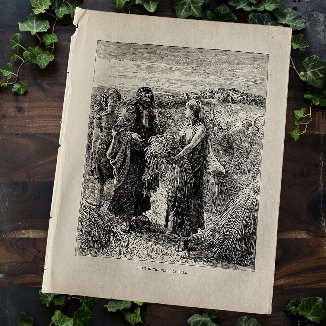 Antique 1877 Bible Engraving of Ruth in Field of Boaz, Original ...