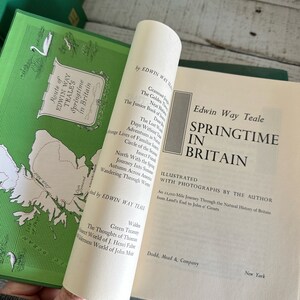 Vintage Green Books, Vibrant Green Shelf Decor, Green Interior ...