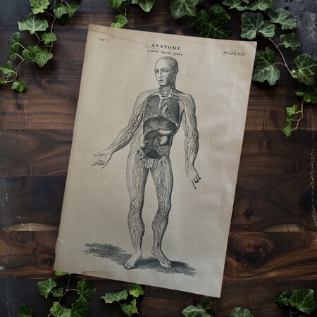 TatteredStacks - Etsy