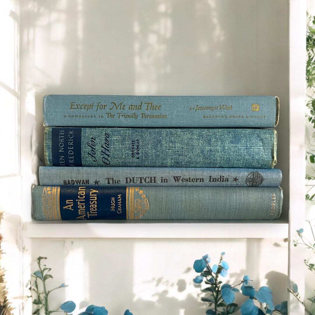 Vintage Blue Books Set, Rustic Blue Books, Blue Shabby Book Collection ...