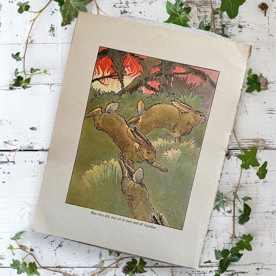 Antique 1916 Bunny Rabbit Book Illustration Art, Vintage Woodland Bunny ...