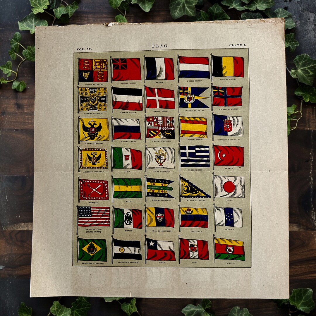 Antique 1891 World Flags Art Book Plate, Vintage Flag Art, Flag Wall ...