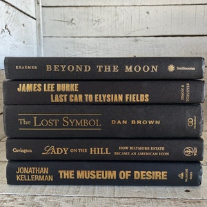 Black Books Set, Black and Gold Book Collection, Interior Decorator or ...