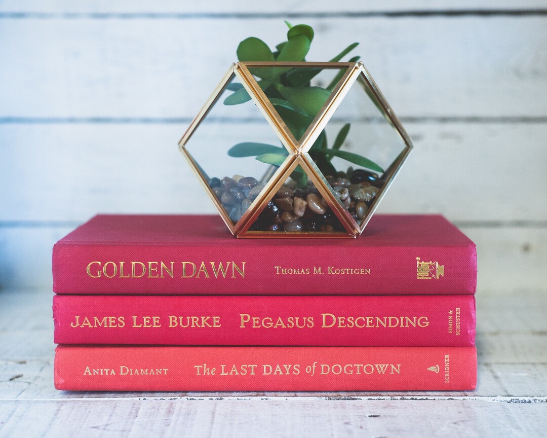 Modern Red Books for Interior Decorating or Home Staging, REAL Books by ...