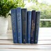 Blue Books Set, Modern Blue Interior Decorator Books, Blue and Gold ...